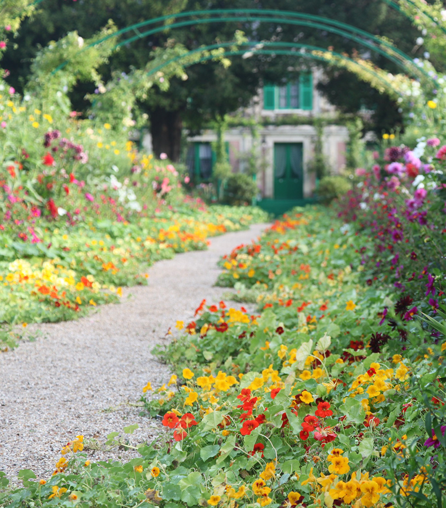 Capucines – Maison et jardins de Claude Monet – Giverny