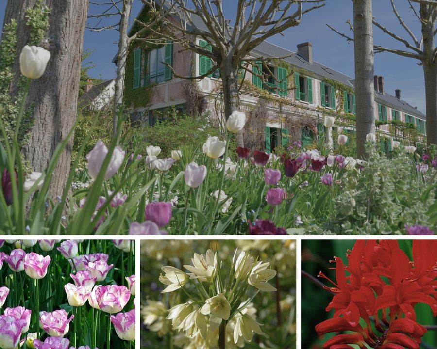 2024 : la saison impressionniste… – Maison et jardins de Claude Monet ...